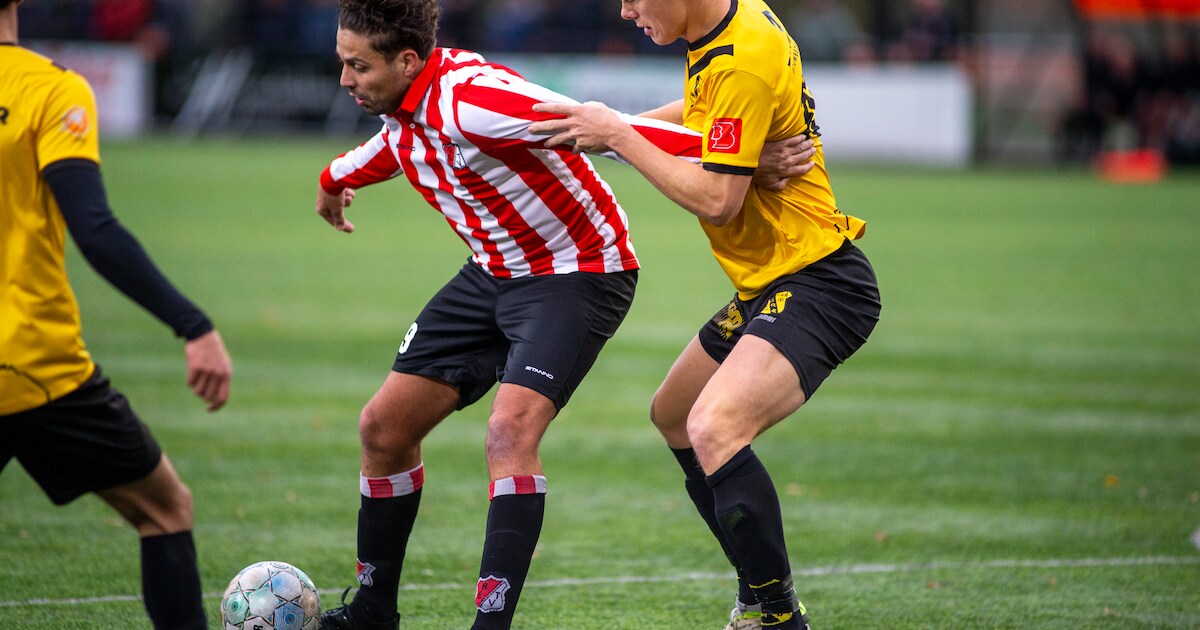 ‘Twin Towers’ sleutel tot succes van VIOS Vaassen, dat Robur van eerste ...