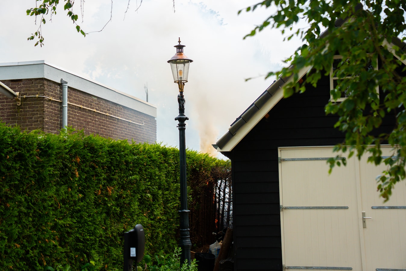 Conifeer in brand door onkruidwieden in Velp | Foto | AD.nl