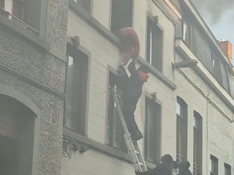 Van teeuw tot walfijn: de meest bijzondere kruisingen in dierenland ...