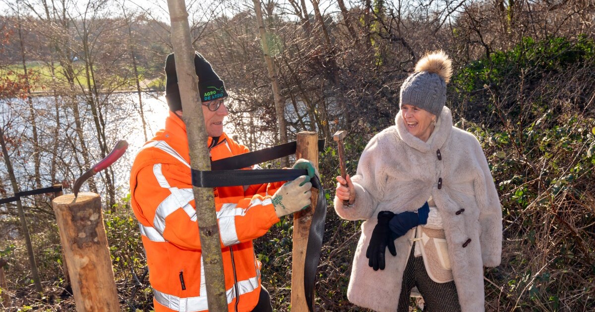 Monica (75) vroeg een boom voor haar verjaardag en kreeg er drie: ‘Den ...