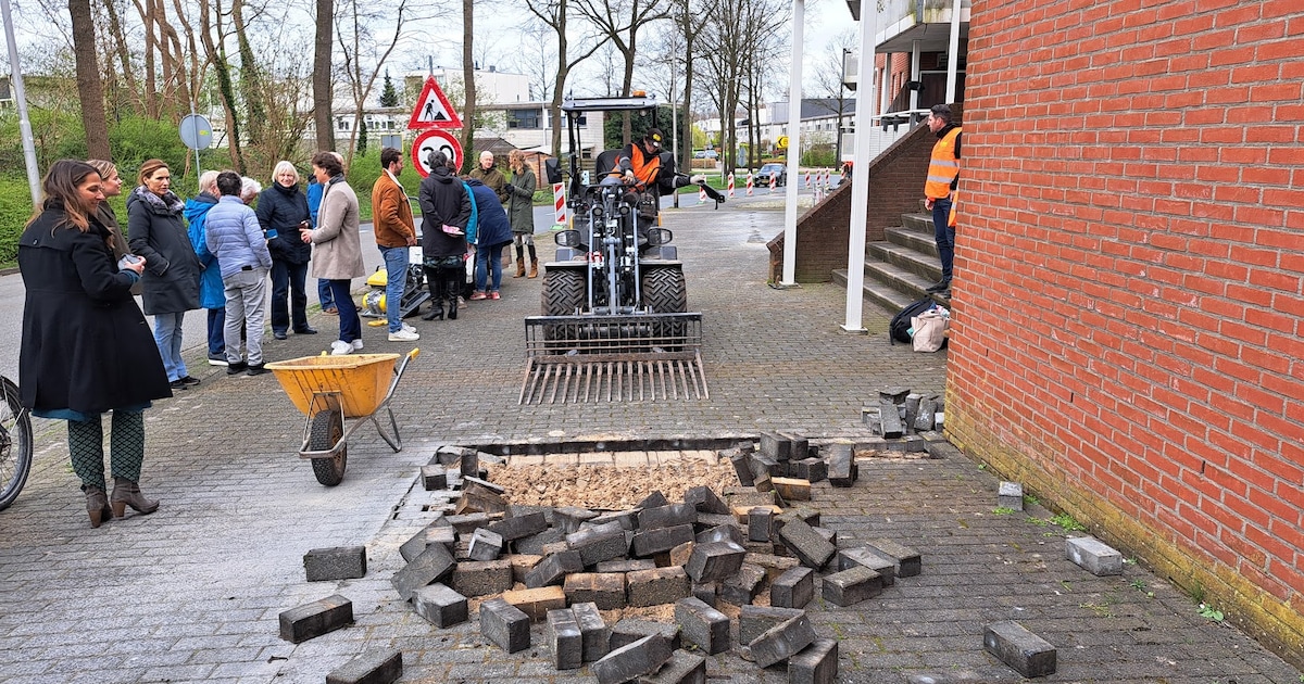Overbodige stenen eruit, extra groen erin in Kruiskamp, Leusderkwartier ...