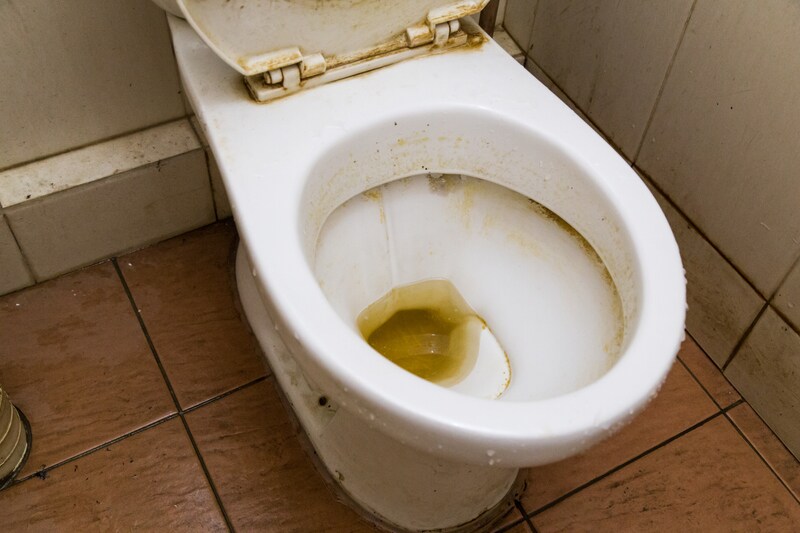 Vaak genoeg en slim schoonmaken? ‘Doe de wc-klep dicht als je ...