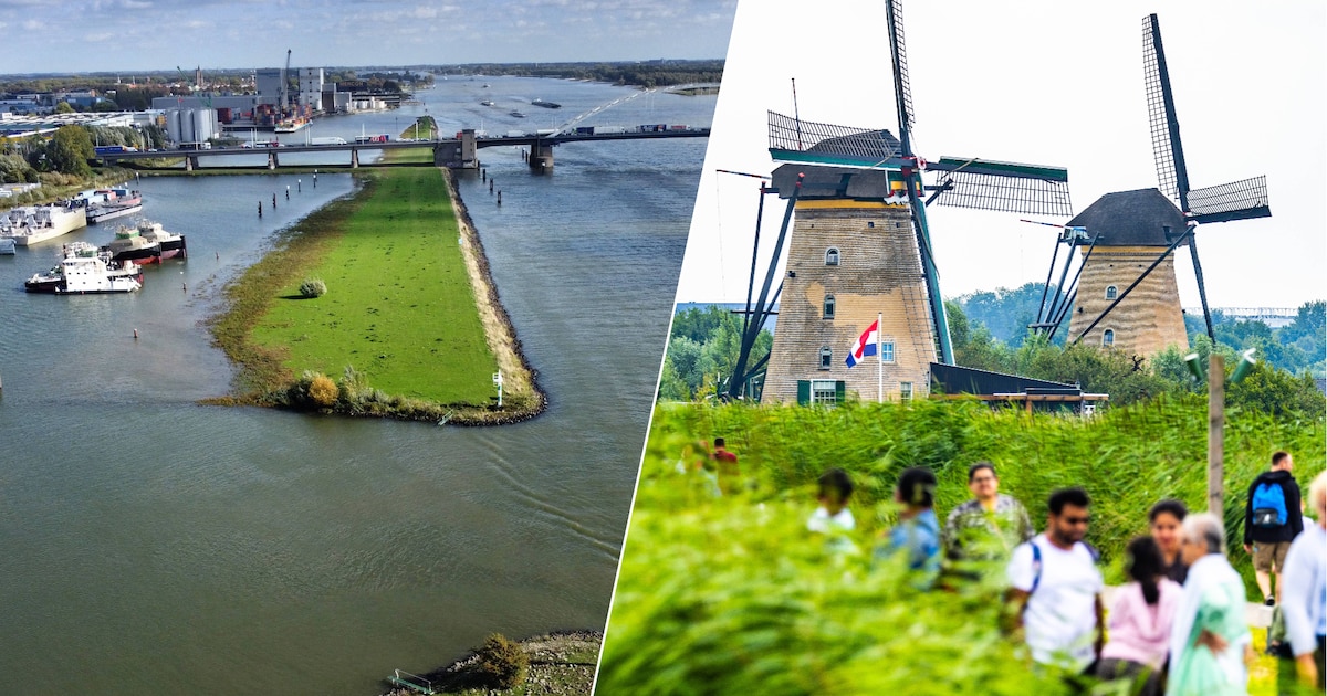 Definitief geen windturbines rond historische molens Kinderdijk | Molenlanden | AD.nl