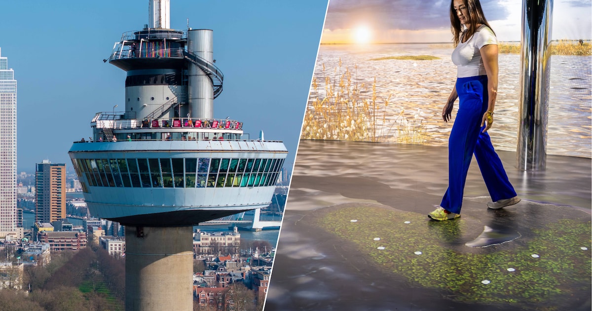 Vanaf nu verandert je bezoek aan de Euromast voorgoed: ‘Rotterdam zoals ...