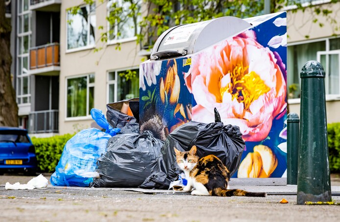 Straks weer zonder pasje je afval in de container gooien, maar vraag is ...