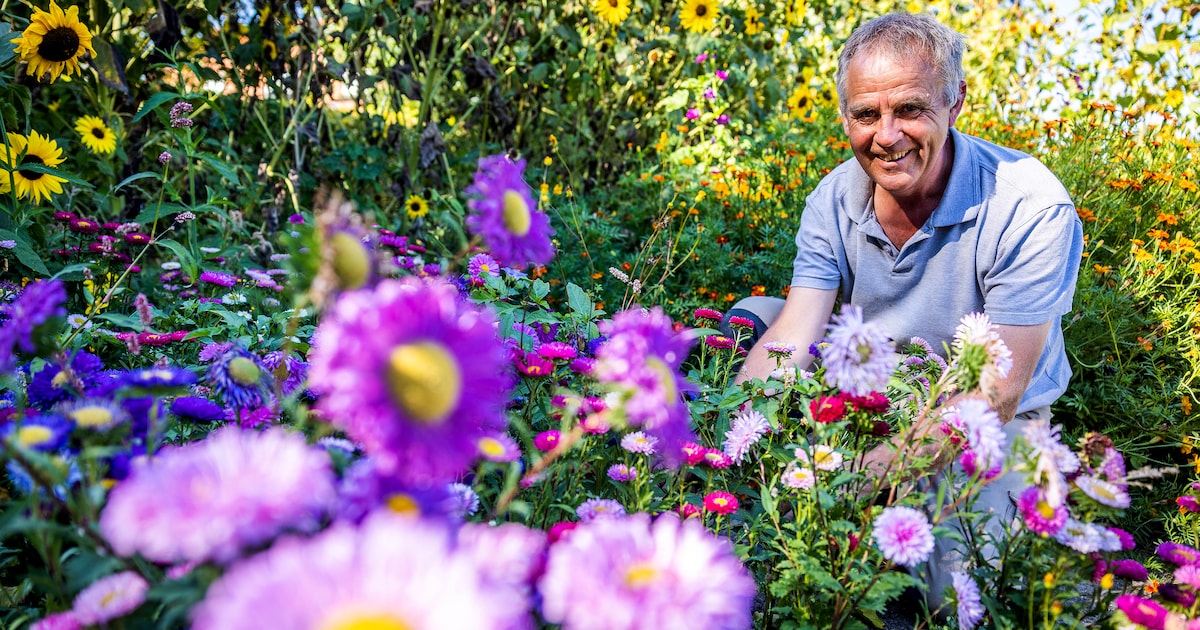 Hans zegde goed betaalde baan op om zorgboerderij te beginnen: ‘Geen ...