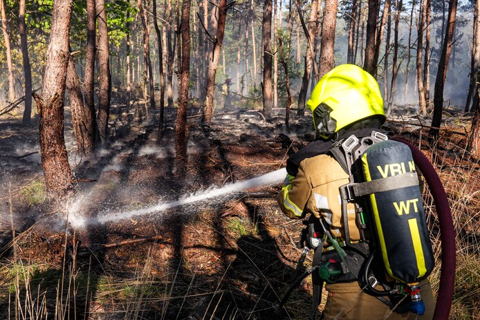 Na uren blussen is bosbrand bij Asten onder controle, flink gebied ...