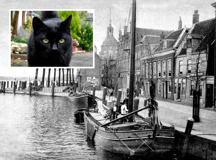 In Dordrecht vond een opmerkelijk laat heksenproces plaats: ‘De kat had ...