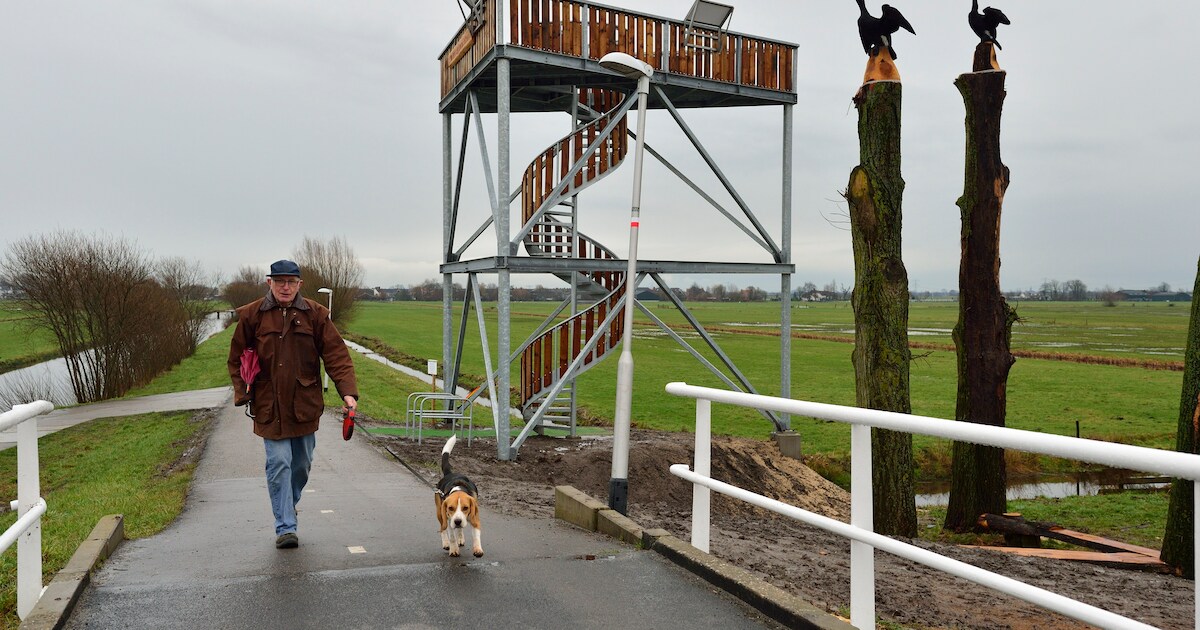 Dorpsteam Driebruggen verliest vertrouwen en heft zichzelf op | Regio ...
