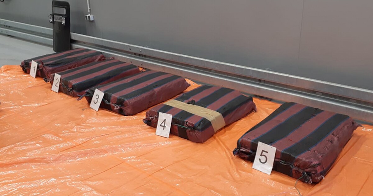 Justitie wil ‘vloggers’ achter de tralies voor berg coke in ...