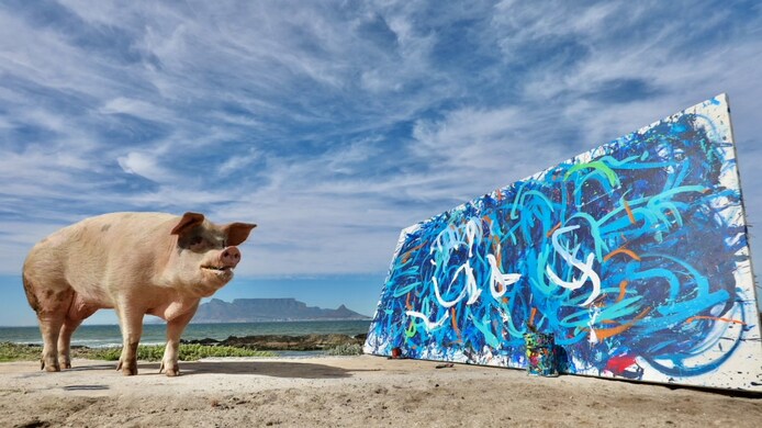 Schilderend schaap BAAnksy ‘gestolen’ van boerderij, eigenaar looft 62. ...