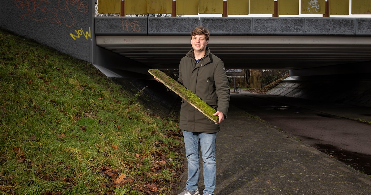 Graffiti op bruggen en viaducten? Verleden tijd door zelf groeiend mos ...