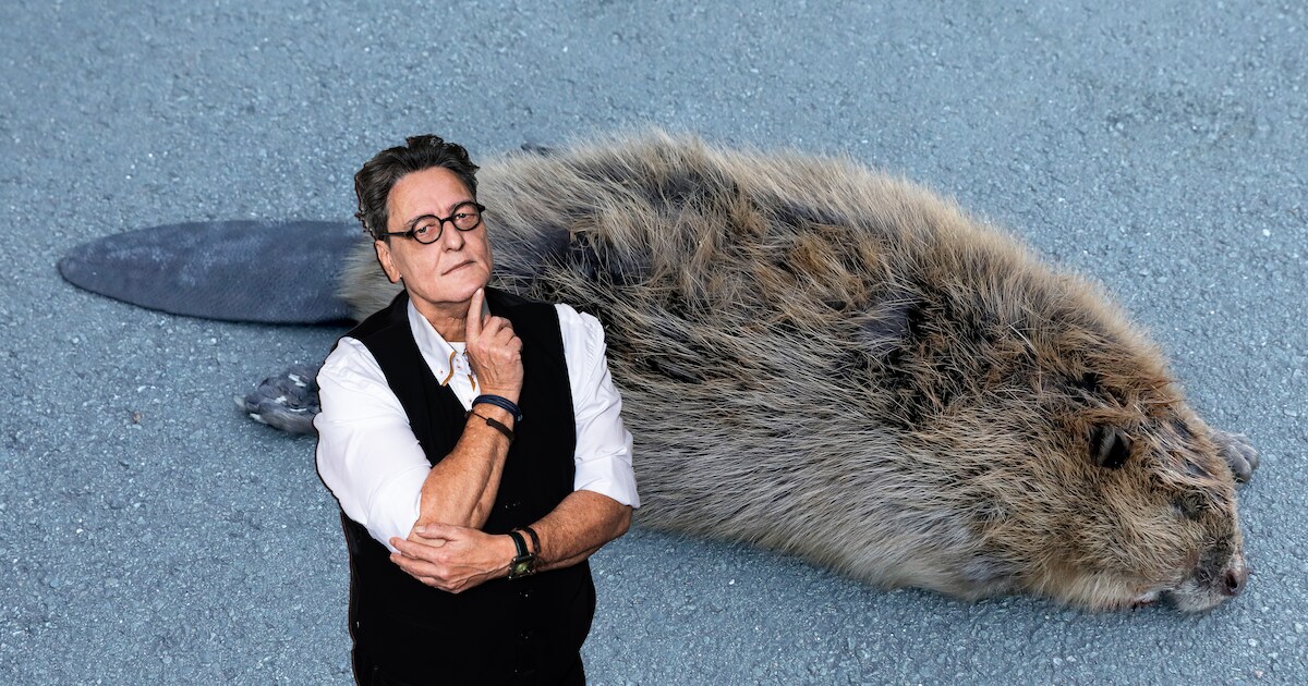 Een dooie bever… niks bijzonders | Regio | AD.nl