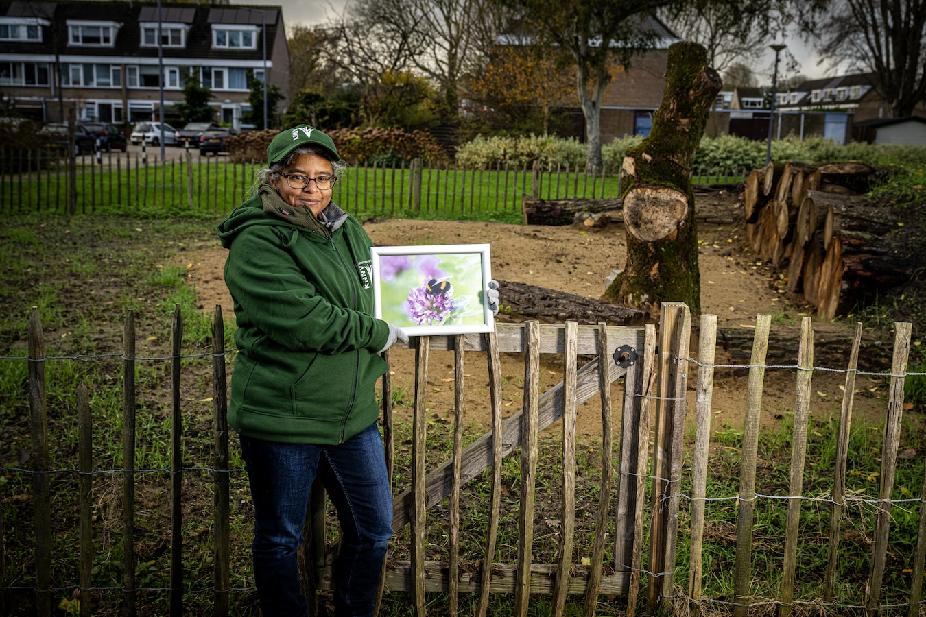 Sharida (48) helpt bedreigde bijen in haar wijk: 'Ze wonen zelfs in ...