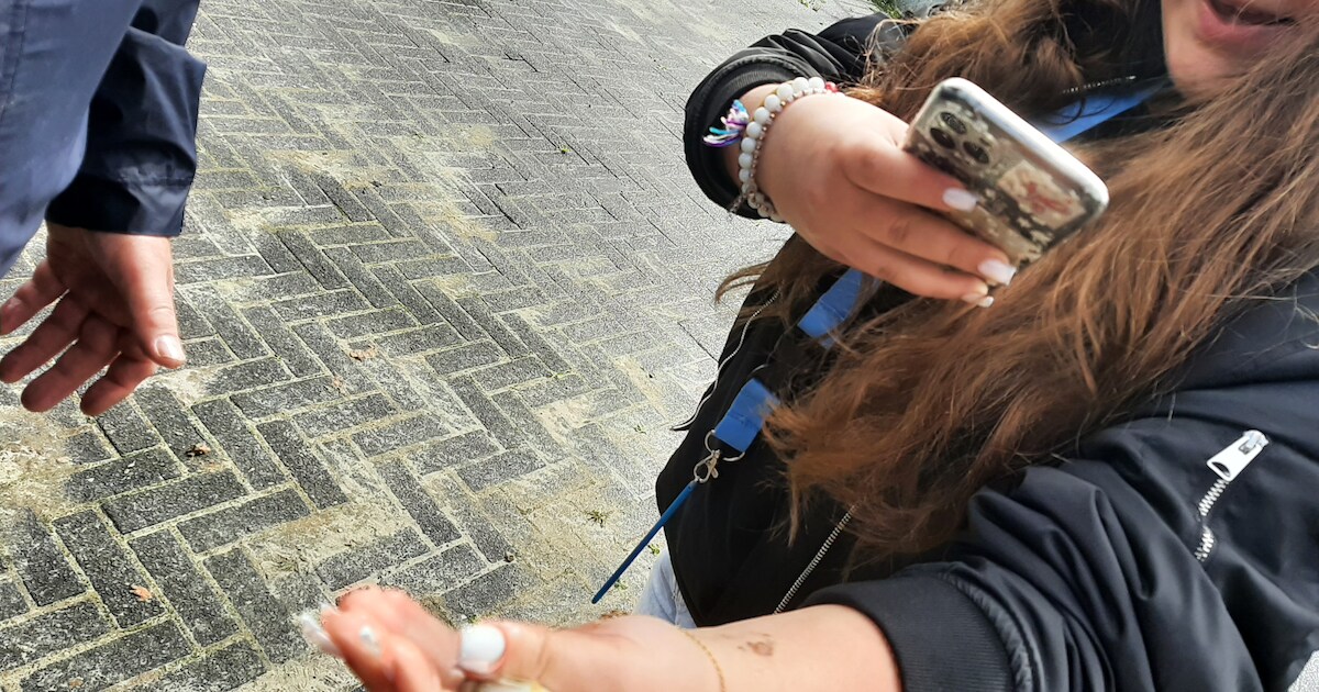 Stokje, snoertje, haakje en dan... Beet! Visles voor beginners | Almelo | AD.nl