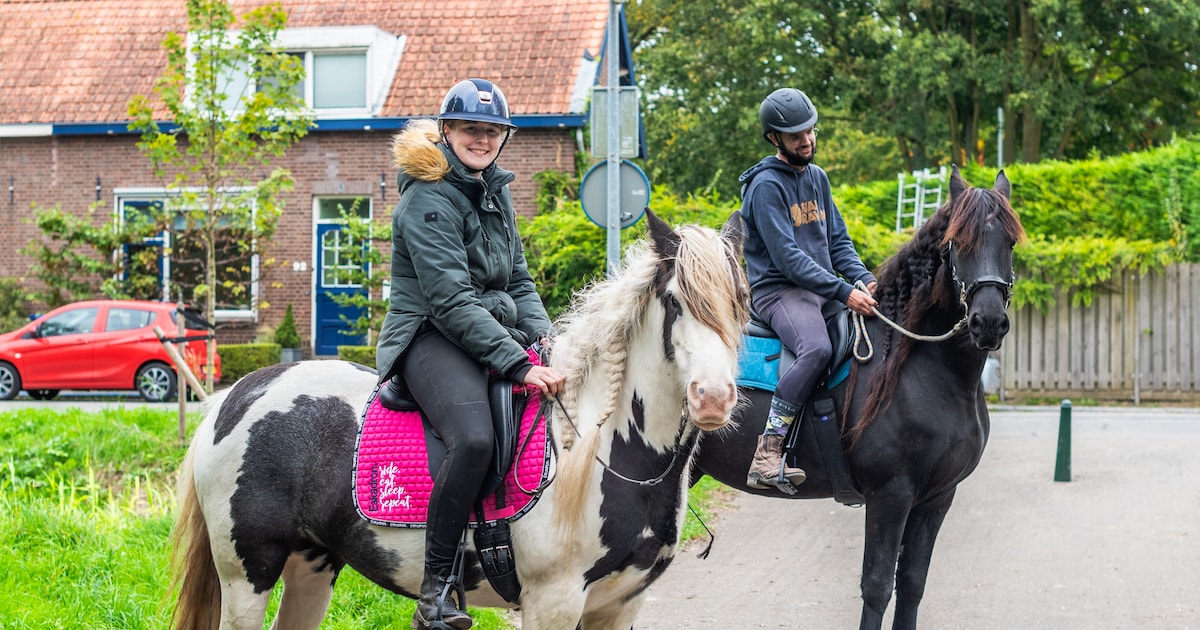 Sandra neemt haar vriend mee naar haar paarden: ‘Als je me vaker wil zien, moet je af en toe ...