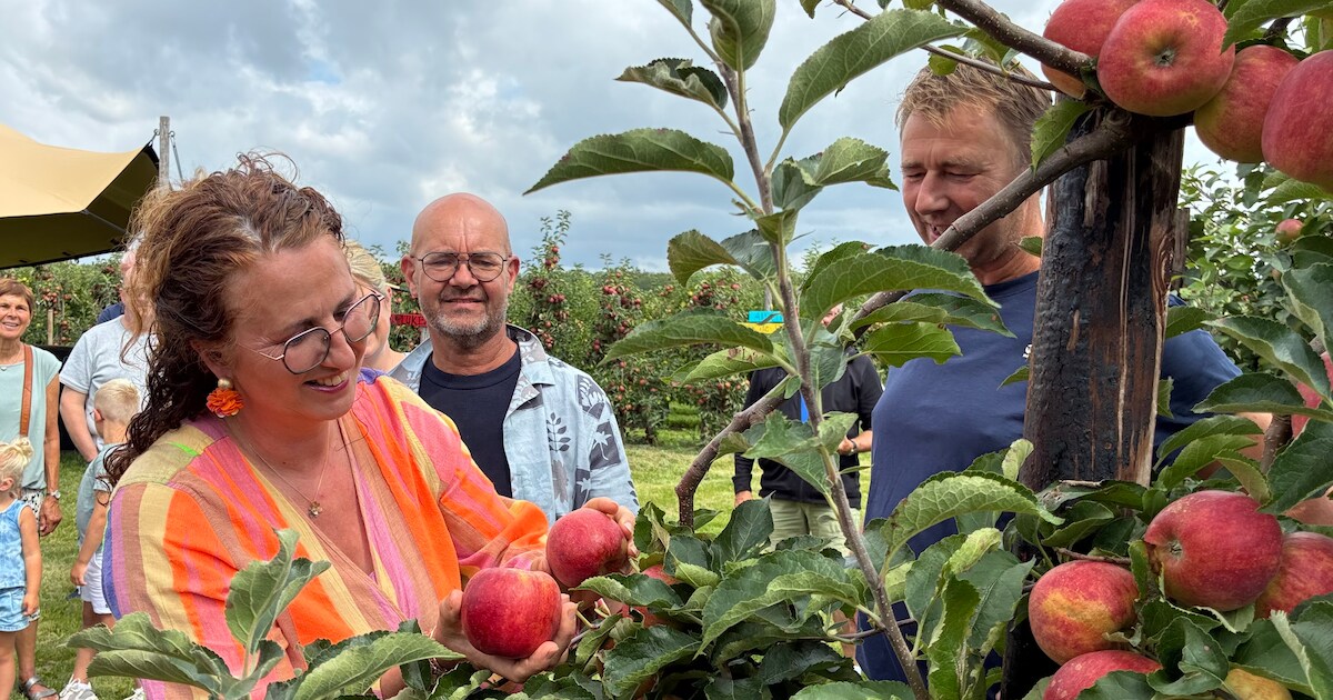 Op Vink Fruitboerderij in Kraggenburg is het plukseizoen geopend ...