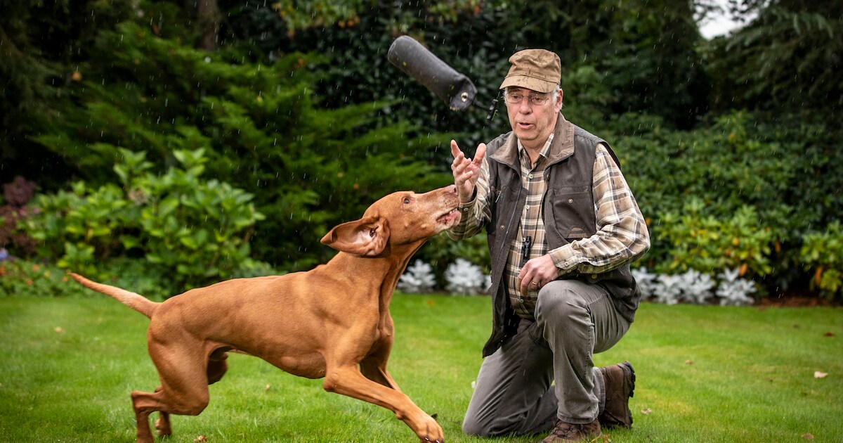 Ben uit Denekamp heeft Parkinson, jachthond Bor houdt hem scherp: 'Mijn trouwe makker ...