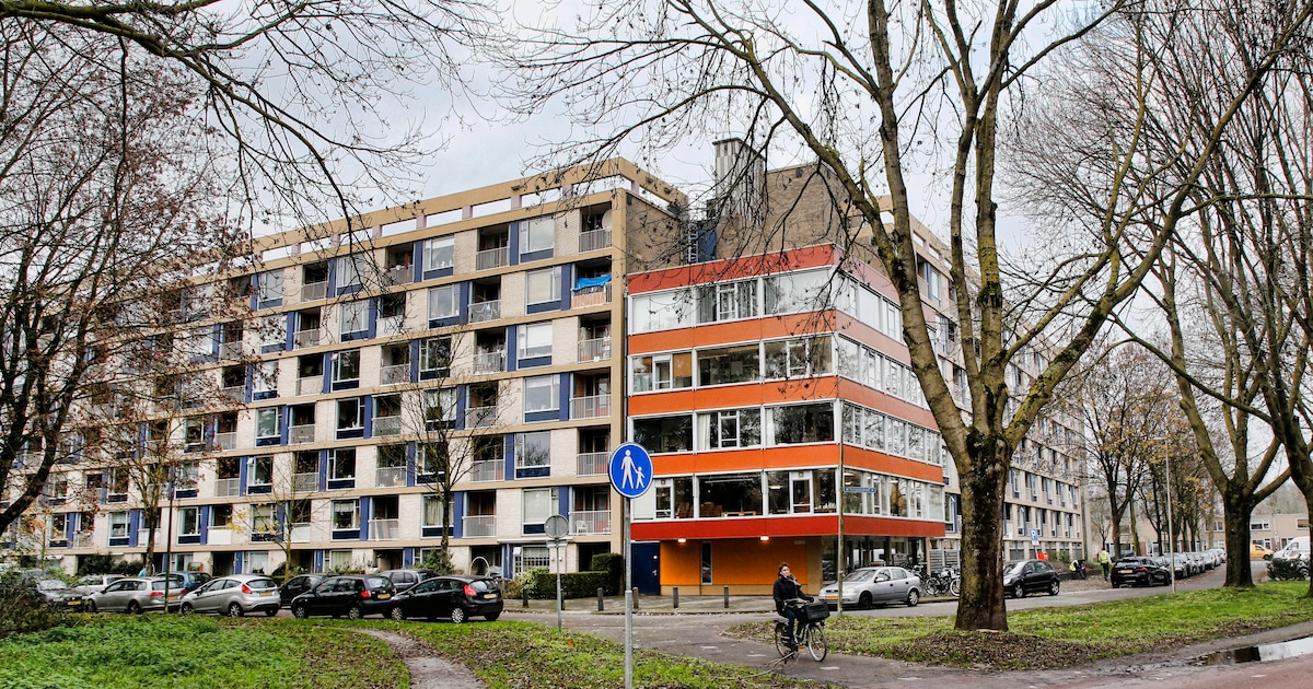 Utrechters die spil waren achter jongensbordeel in Overvecht horen 10 ...